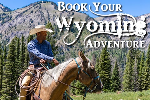 Jackson Hole Outfitters